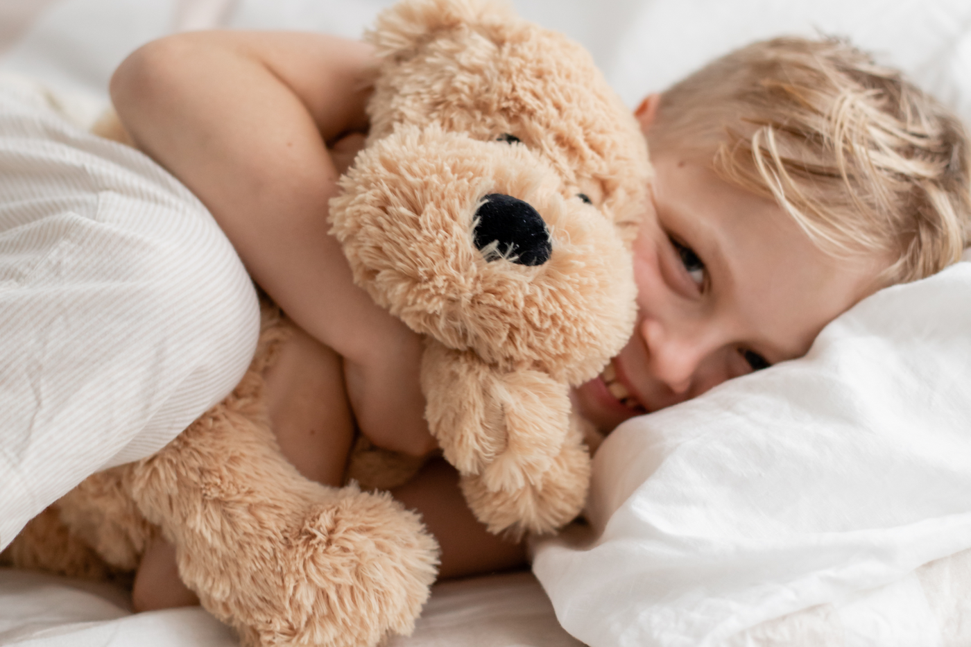 Calm, Cuddle, Connect: The Magic of Charlie, Our Weighted Puppy Dog To ...